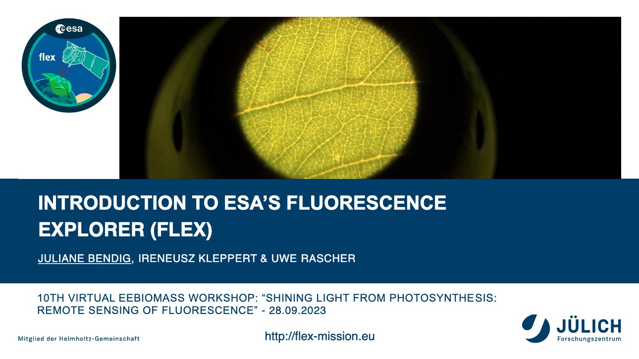 Workshops - EEBIOMASS