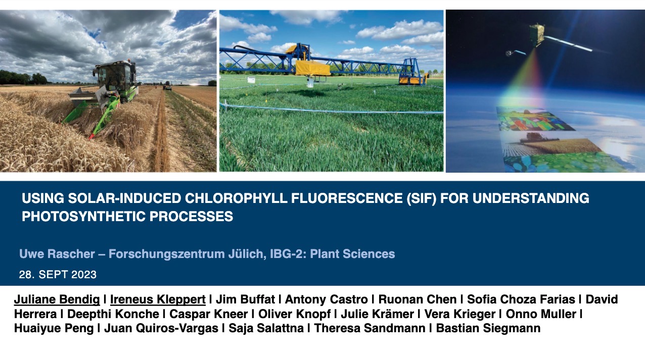 Workshops - EEBIOMASS